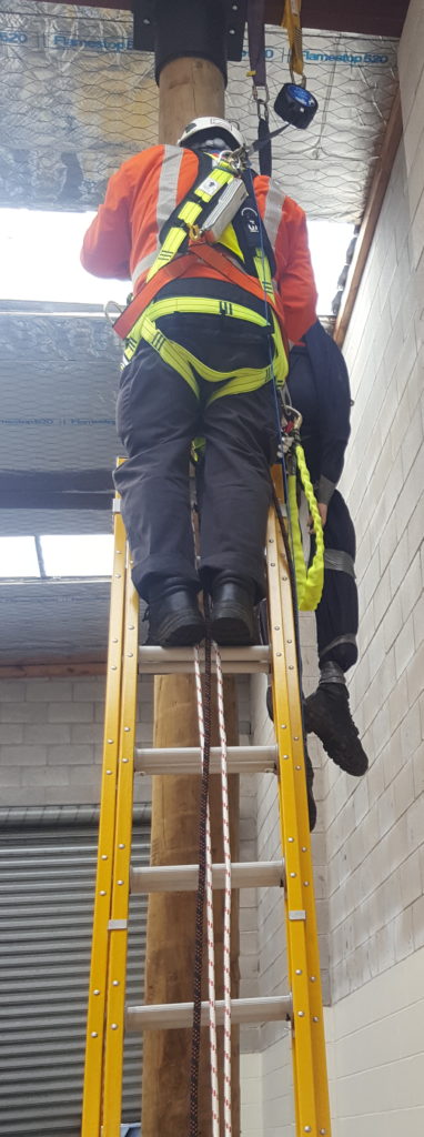 Pole Top Rescue - Besafe Training Ltd