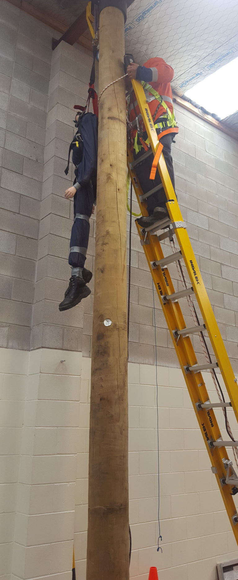 Pole Top Rescue - Besafe Training Ltd